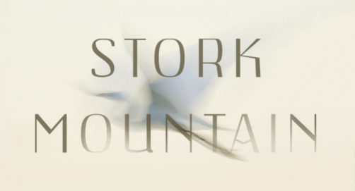 Stork Mountain | Work in Progress