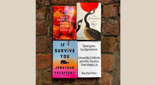 FSG Work in Progress